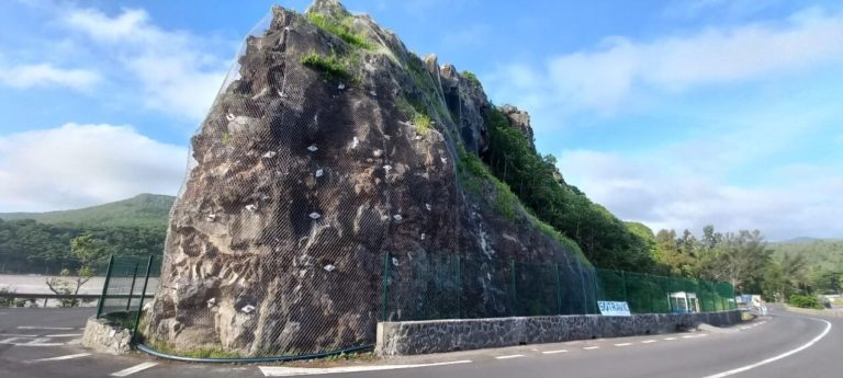 Design-Build / Turnkey for Purging of Rock & Provision of Rock Net at ...